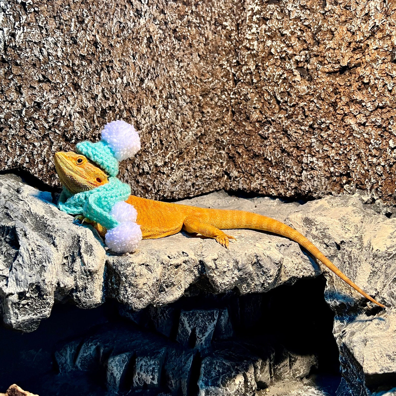 Bearded Dragon Hat Lizard Costume Reptile Hat Crochet - Etsy