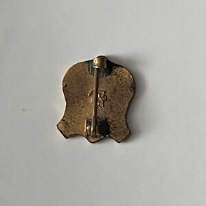 Vintage Royal Ambassadors Stick Lapel Pin - Baptist Church Young Men's ...