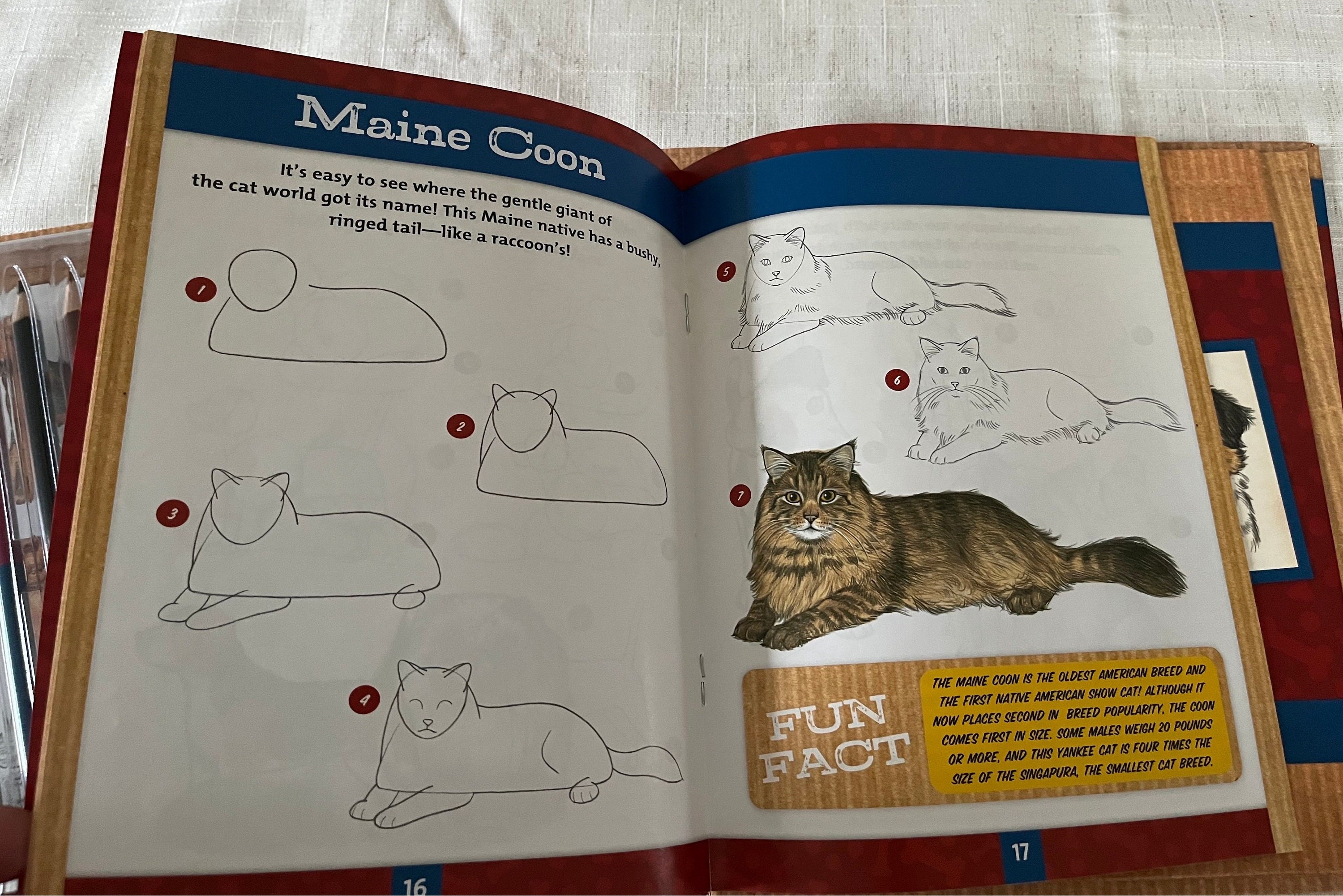 All About Drawing Pets Learn to Draw Dogs and Cats Drawing - Etsy