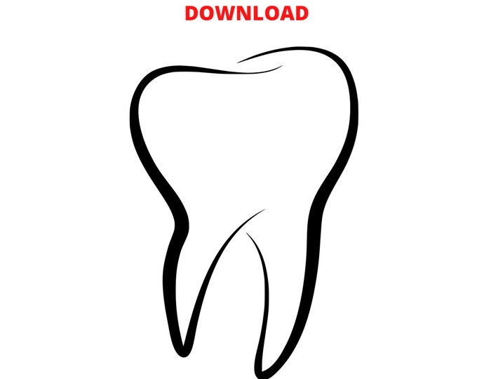Permanent Dentition, Teeth, Tooth, Dental, Dentistry , Dentalschool ...