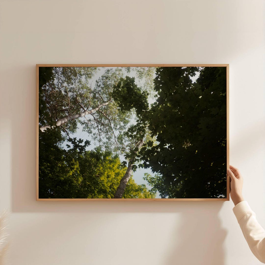 Retro Nature Print, Sunlit Tree Canopy Decor, 35mm Film Photography ...