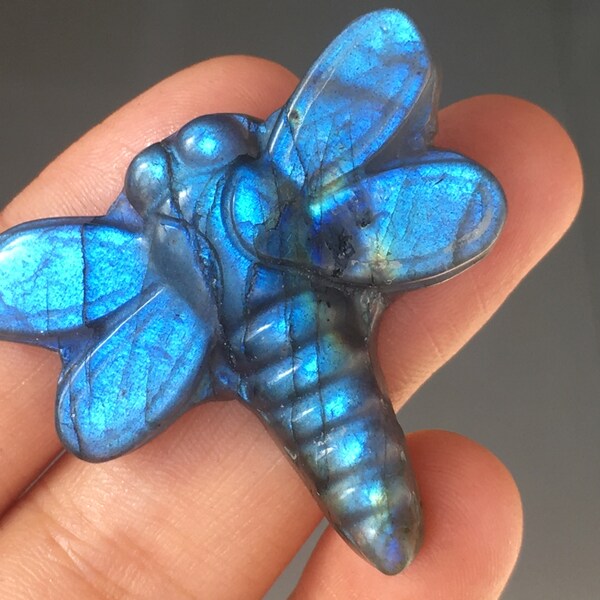 Stone Dragonfly - Etsy