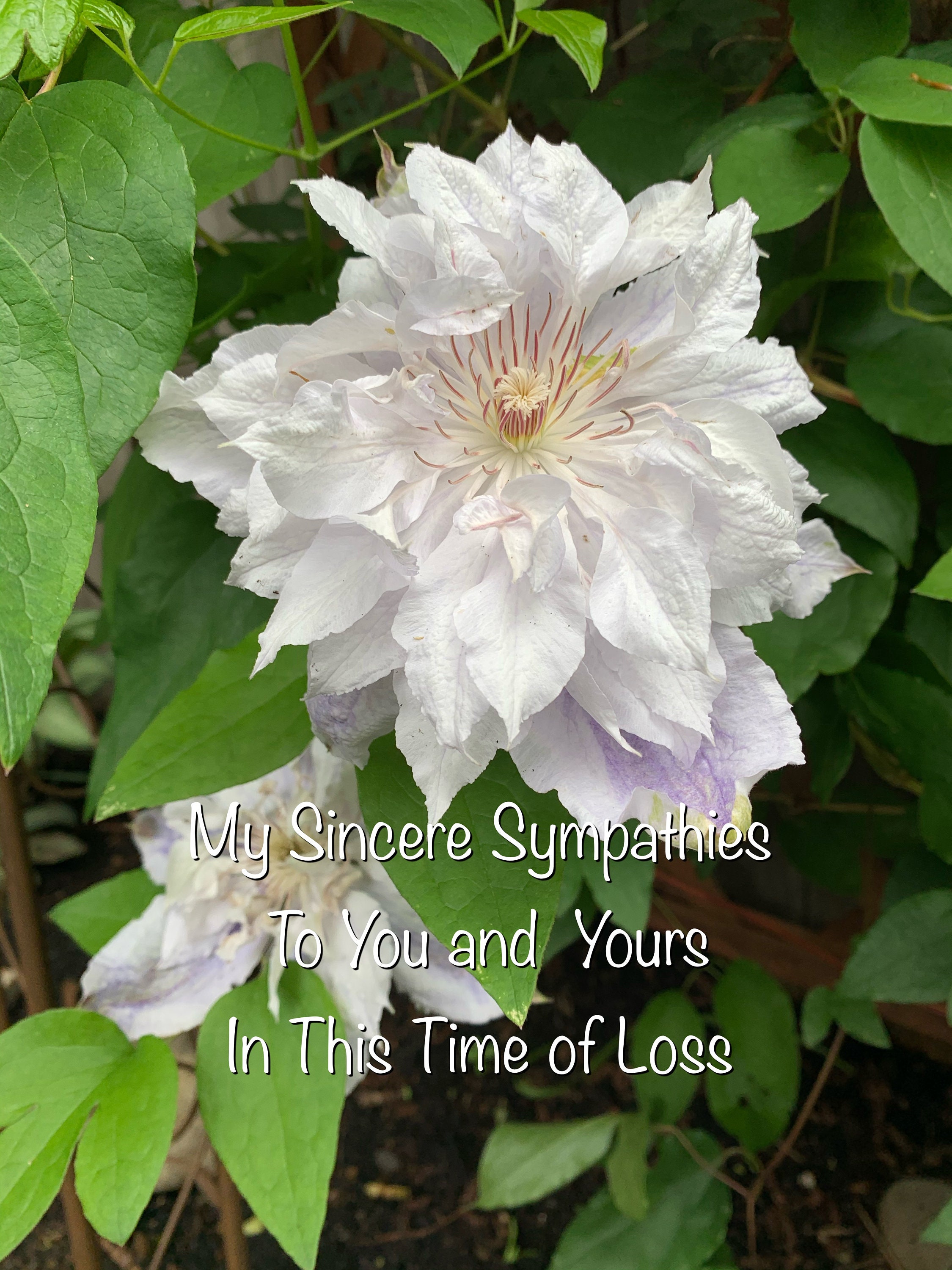 Personalized Photo Cards With Your Photo and Message - Etsy