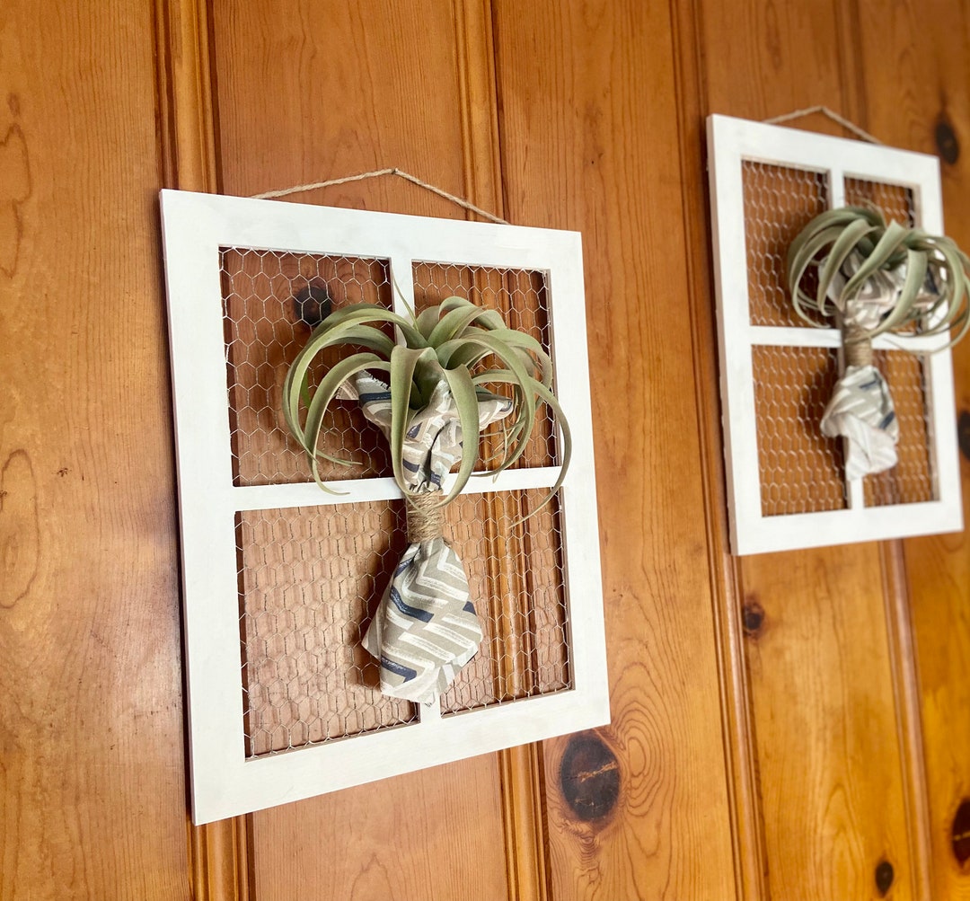 Chicken Wire Window Frame Set or Individual With Large Succulent ...