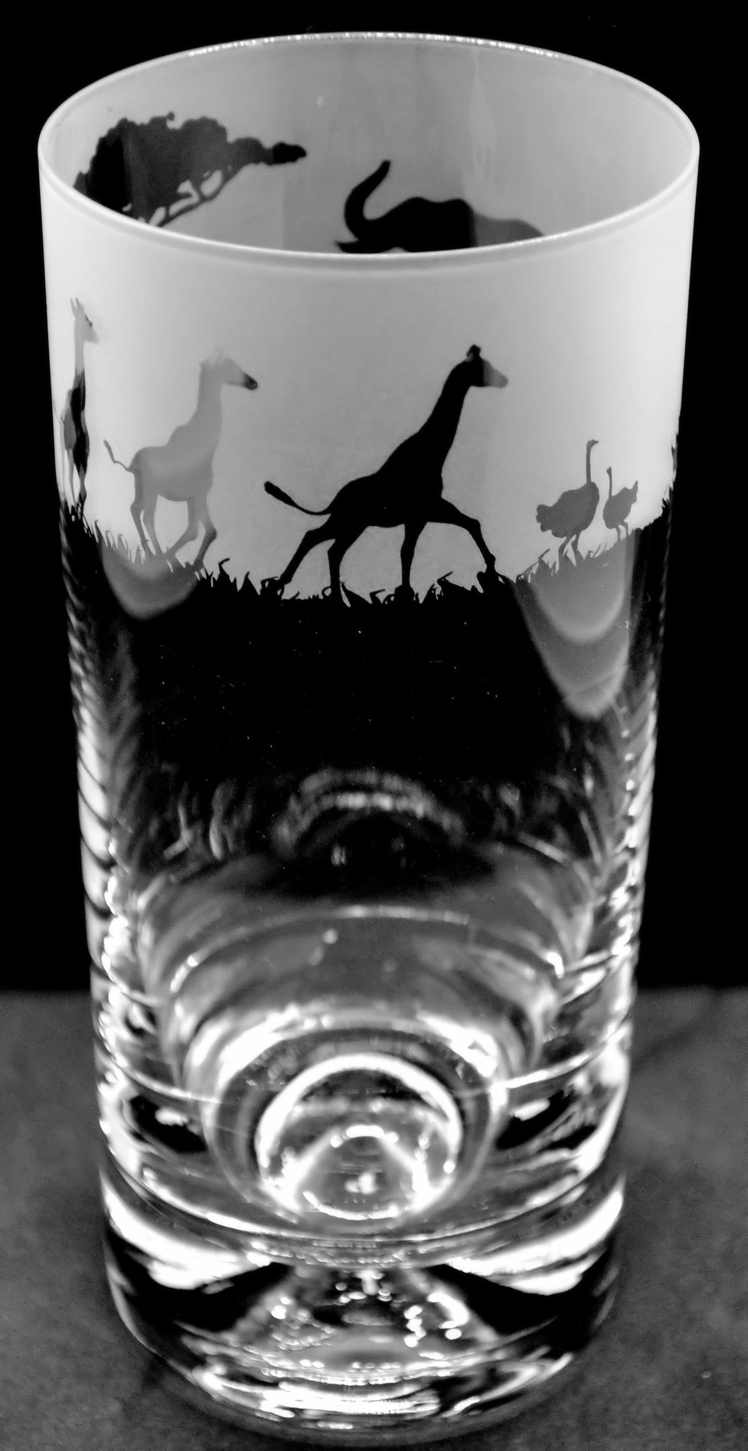 SAFARI GLASS - 37cl Glass Highball Tall Tumbler With Safari Frieze ...
