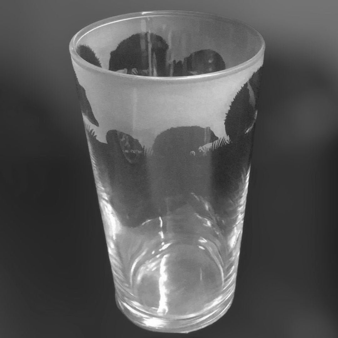 HEDGEHOG PINT GLASS | 57cl Conical Pint Glass With Hedgehog Frieze ...