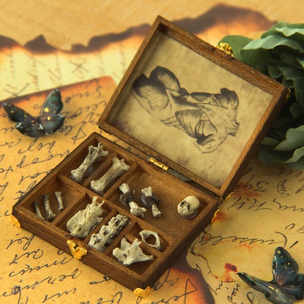 Bone - Etsy