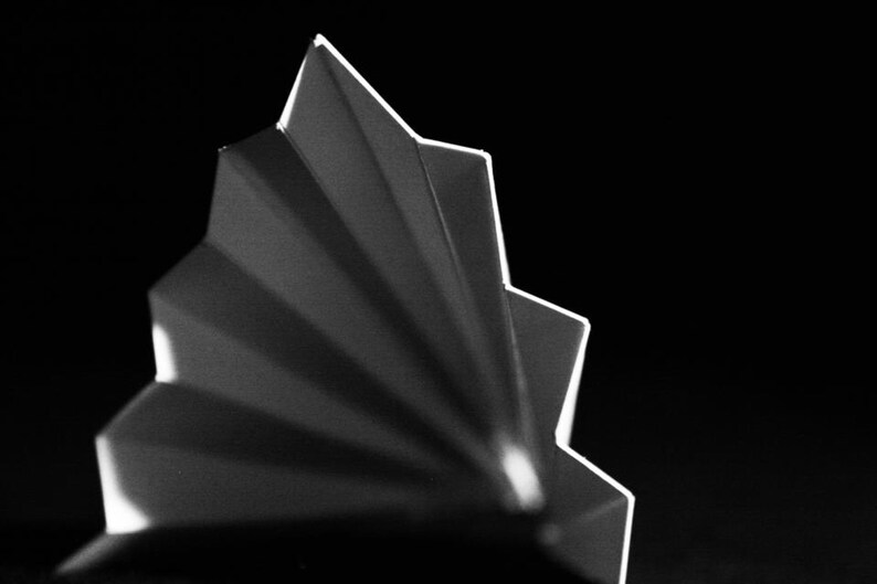 Photographs of Paper Sculptures Interacting With Light - Etsy
