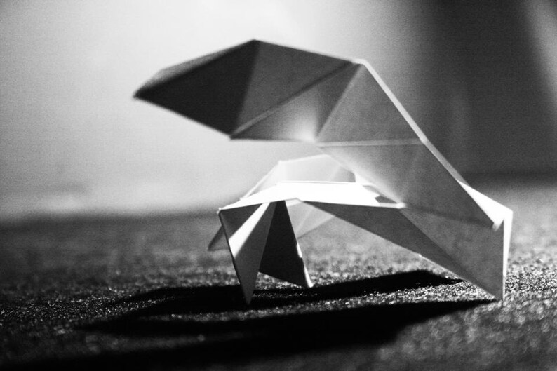 Photographs of Paper Sculptures Interacting With Light - Etsy