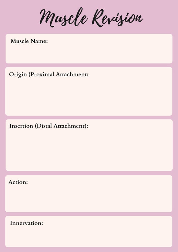 Nursing/medicine Study Note Template for Muscle Revision Pack | Etsy