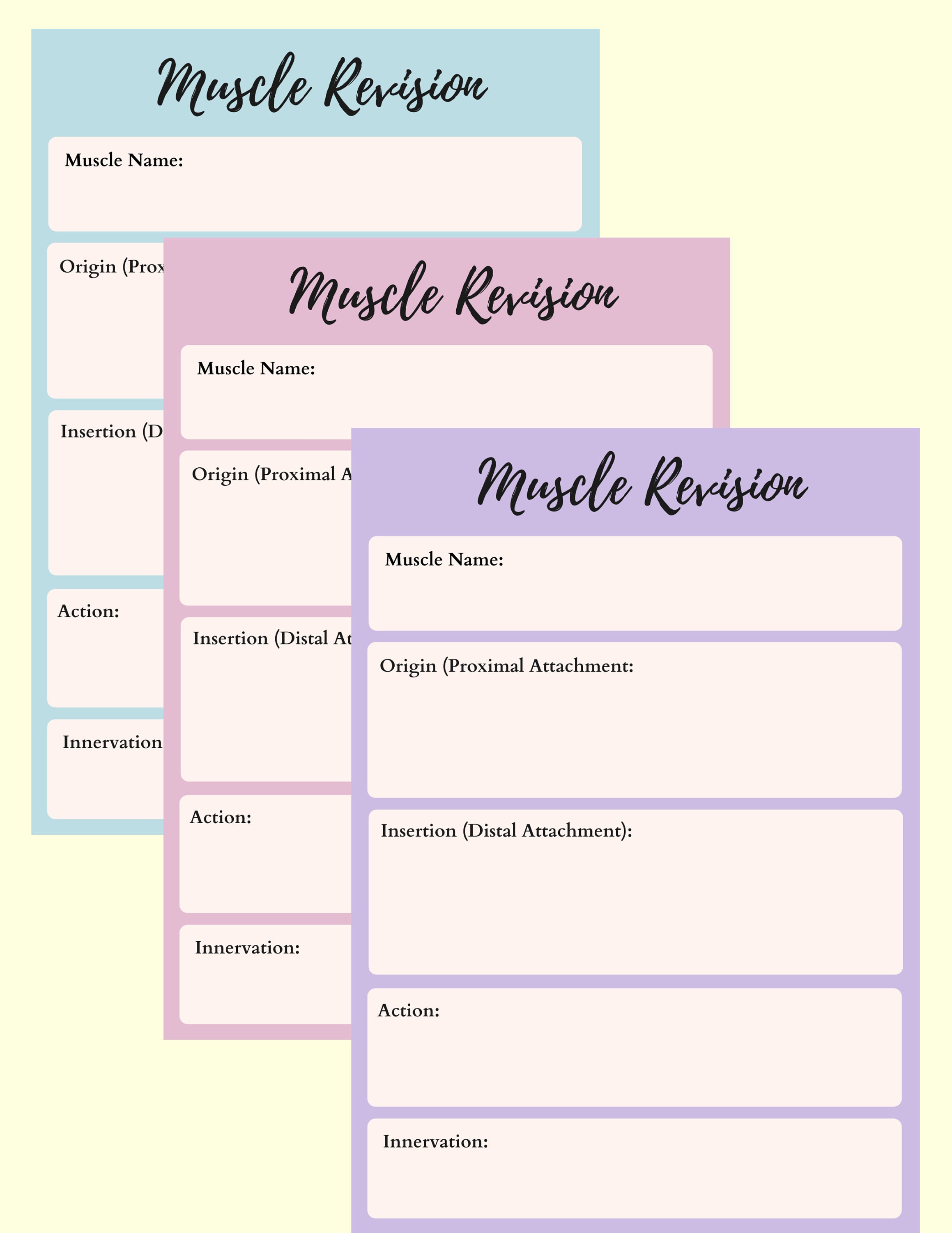 Nursing/medicine Study Note Template for Muscle Revision Pack - Etsy