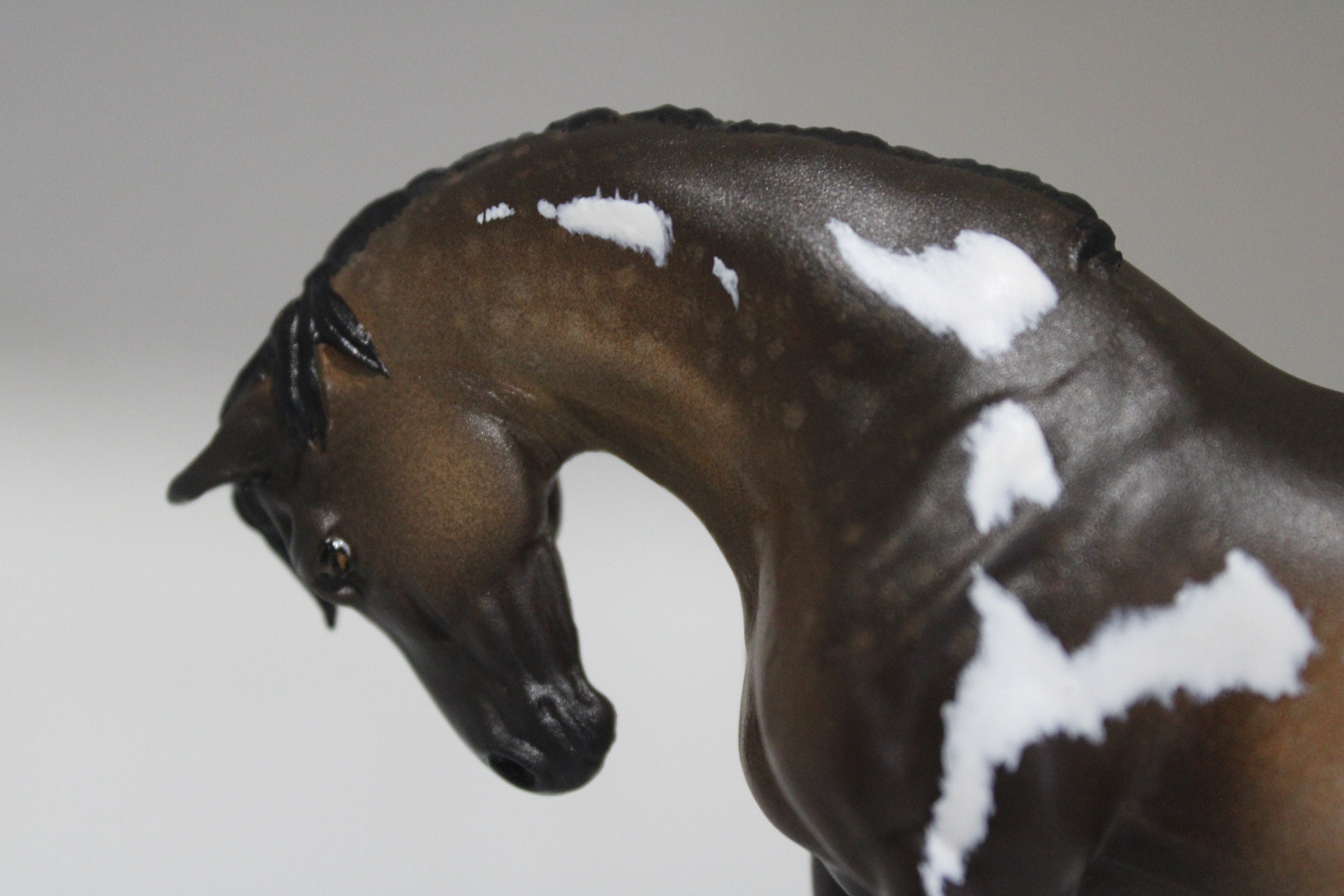 Custom Re-sculpt WIA Lancelot Sooty Buckskin Frame Overo - Etsy