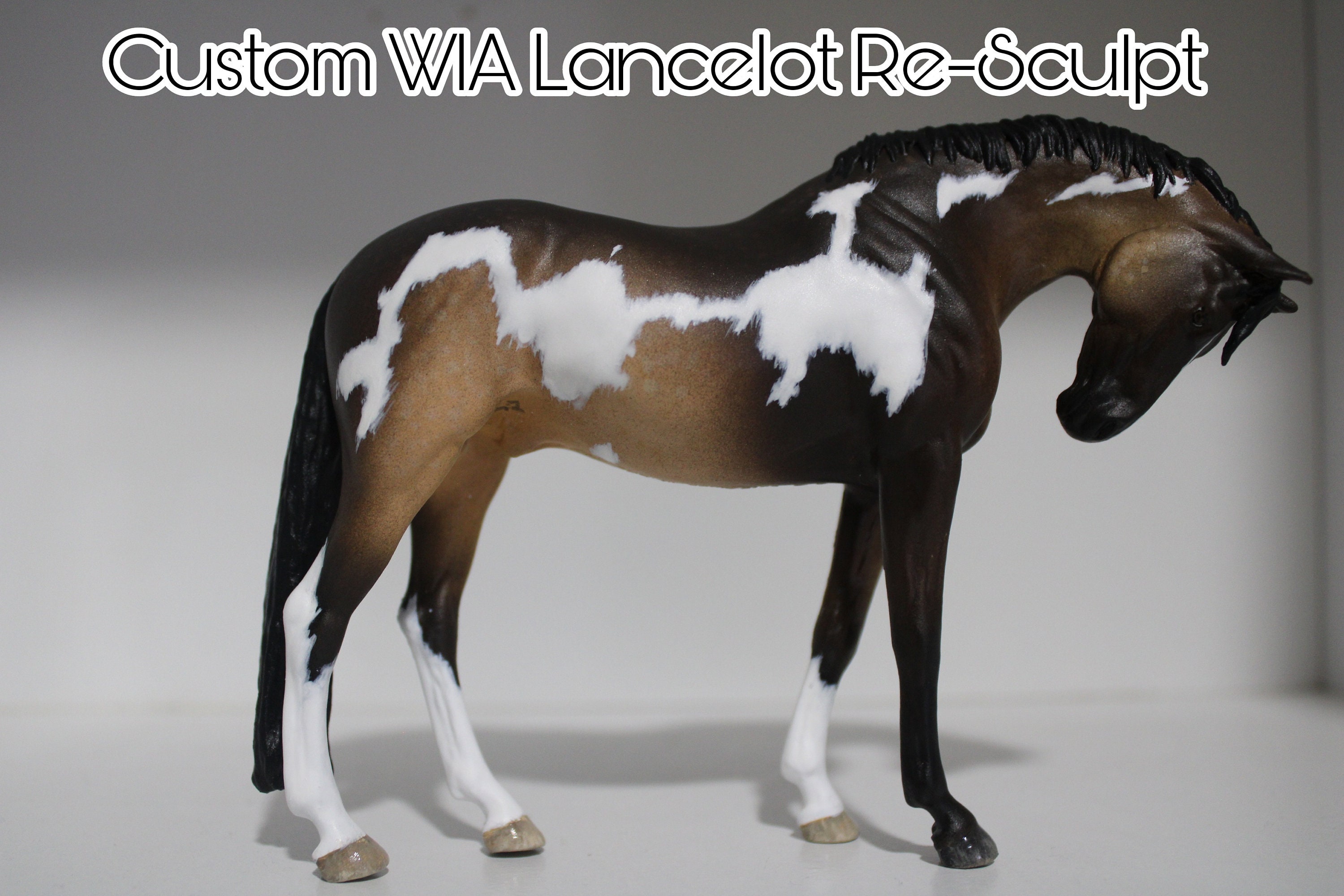 Custom Re-sculpt WIA Lancelot Sooty Buckskin Frame Overo - Etsy