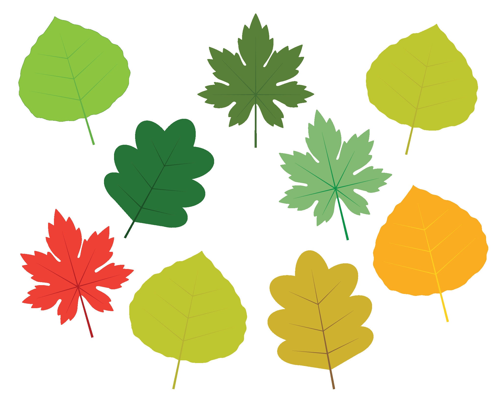 Leaves Clip Art