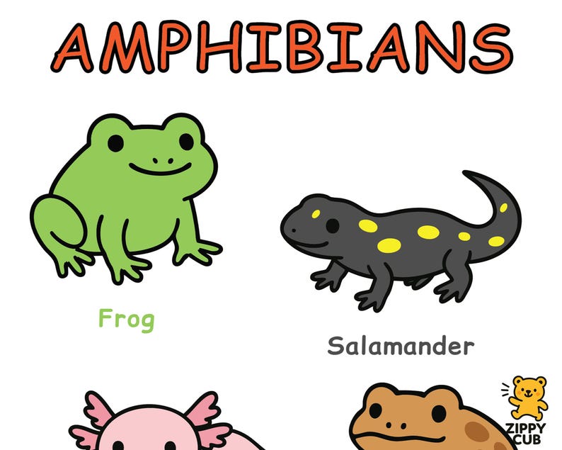 Amphibians Poster for Kids – Printable Science Wall Art | 6 Amphibians ...