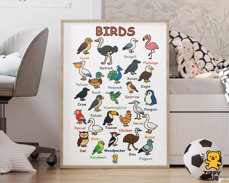 5 Animals Poster Bundle – Reptiles, Amphibians, Fish, Birds & Mammals ...