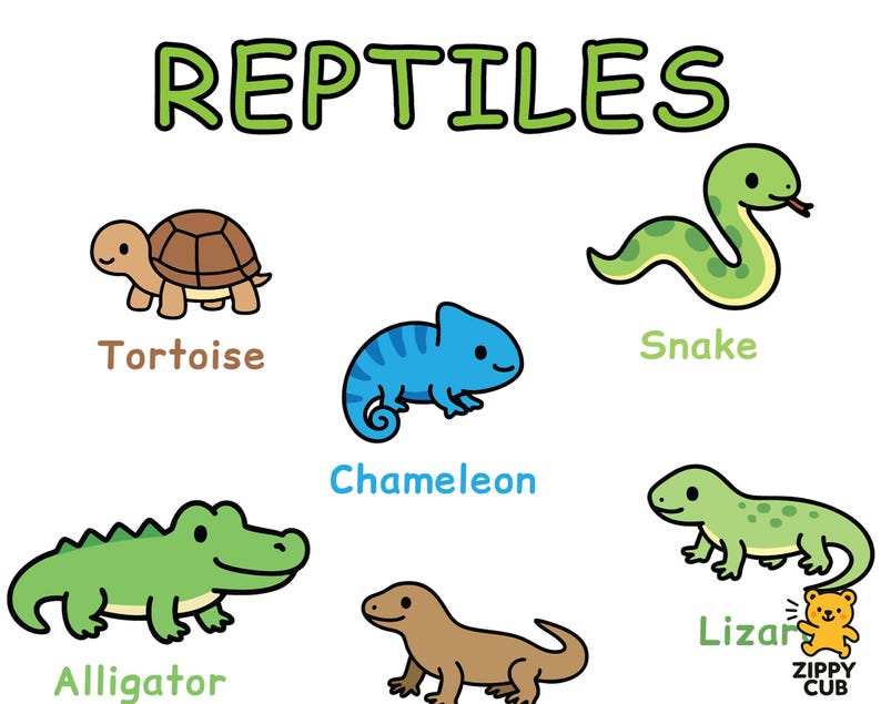 Reptiles Poster for Kids – Educational Animal Chart | 11 Reptiles Wall ...