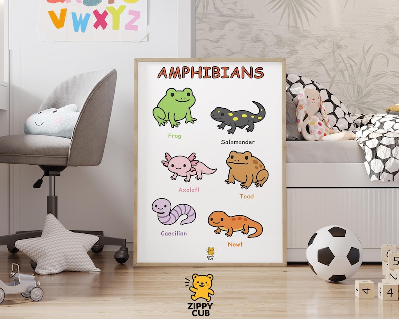 Amphibians Poster for Kids – Printable Science Wall Art | 6 Amphibians ...