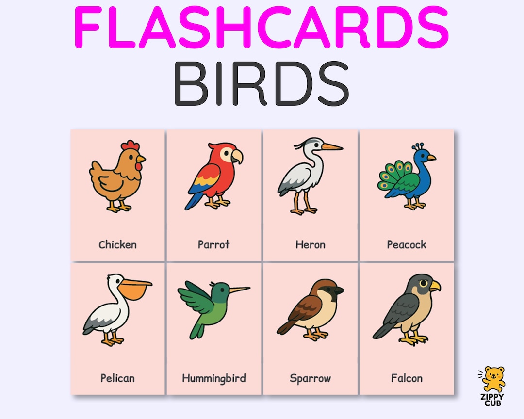 Birds Flashcards – Montessori 4-part Cards | 2.5"x3.5" Printable ...