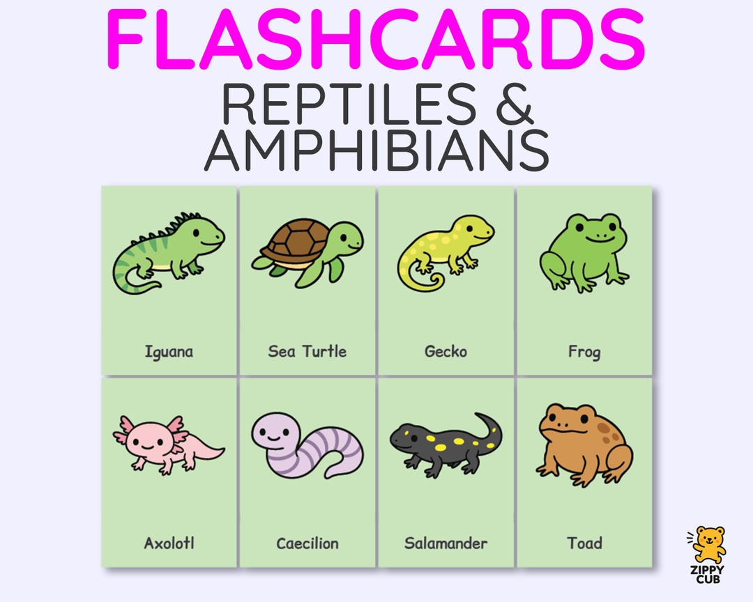 Reptiles & Amphibians Flashcards – Montessori 4-part Cards | 2.5"x3.5 ...