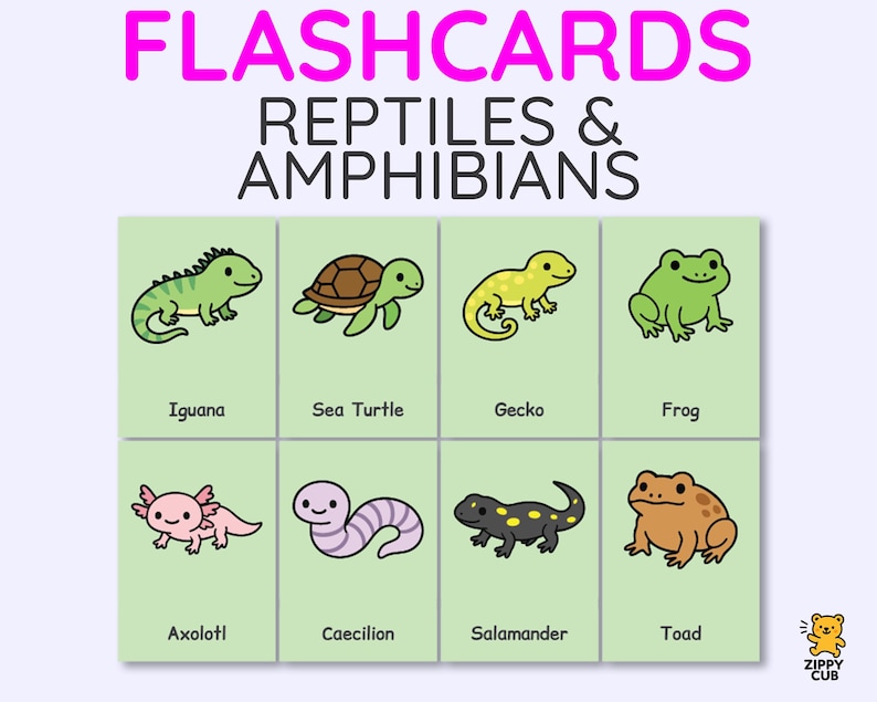Reptiles & Amphibians Flashcards – Montessori 4-part Cards | 2.5"x3.5 ...
