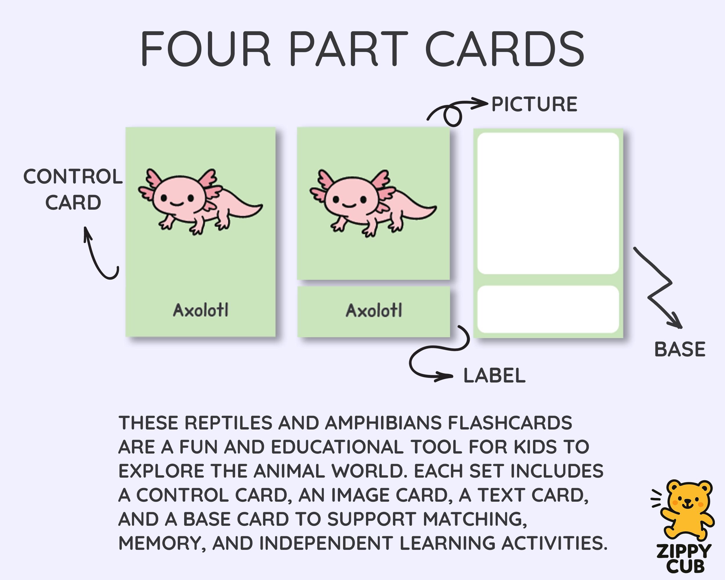Reptiles & Amphibians Flashcards – Montessori 4-part Cards | 2.5"x3.5 ...