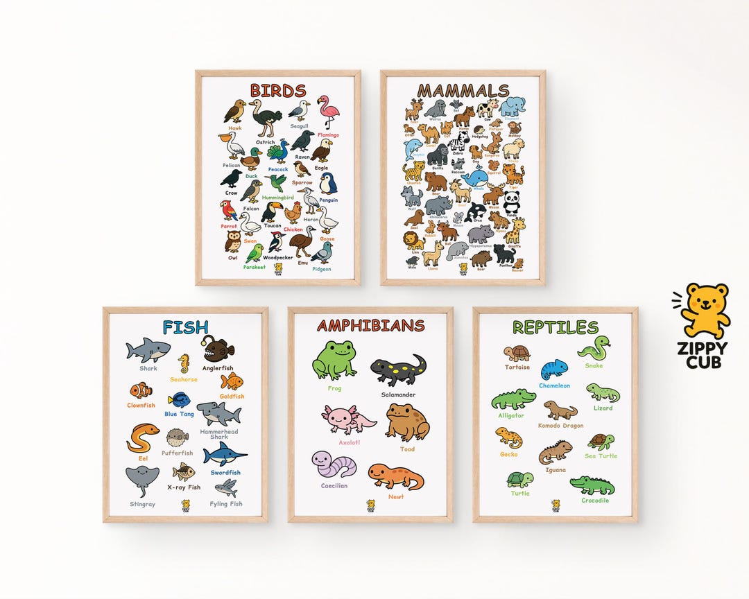 5 Animals Poster Bundle – Reptiles, Amphibians, Fish, Birds & Mammals ...