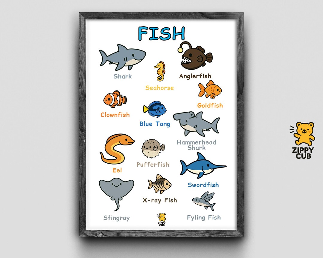Fish Poster for Kids – Educational Sea Life Chart | 13 Fish Species ...
