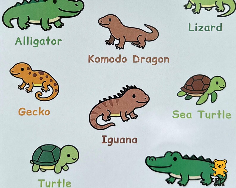 5 Animals Poster Bundle – Reptiles, Amphibians, Fish, Birds & Mammals ...
