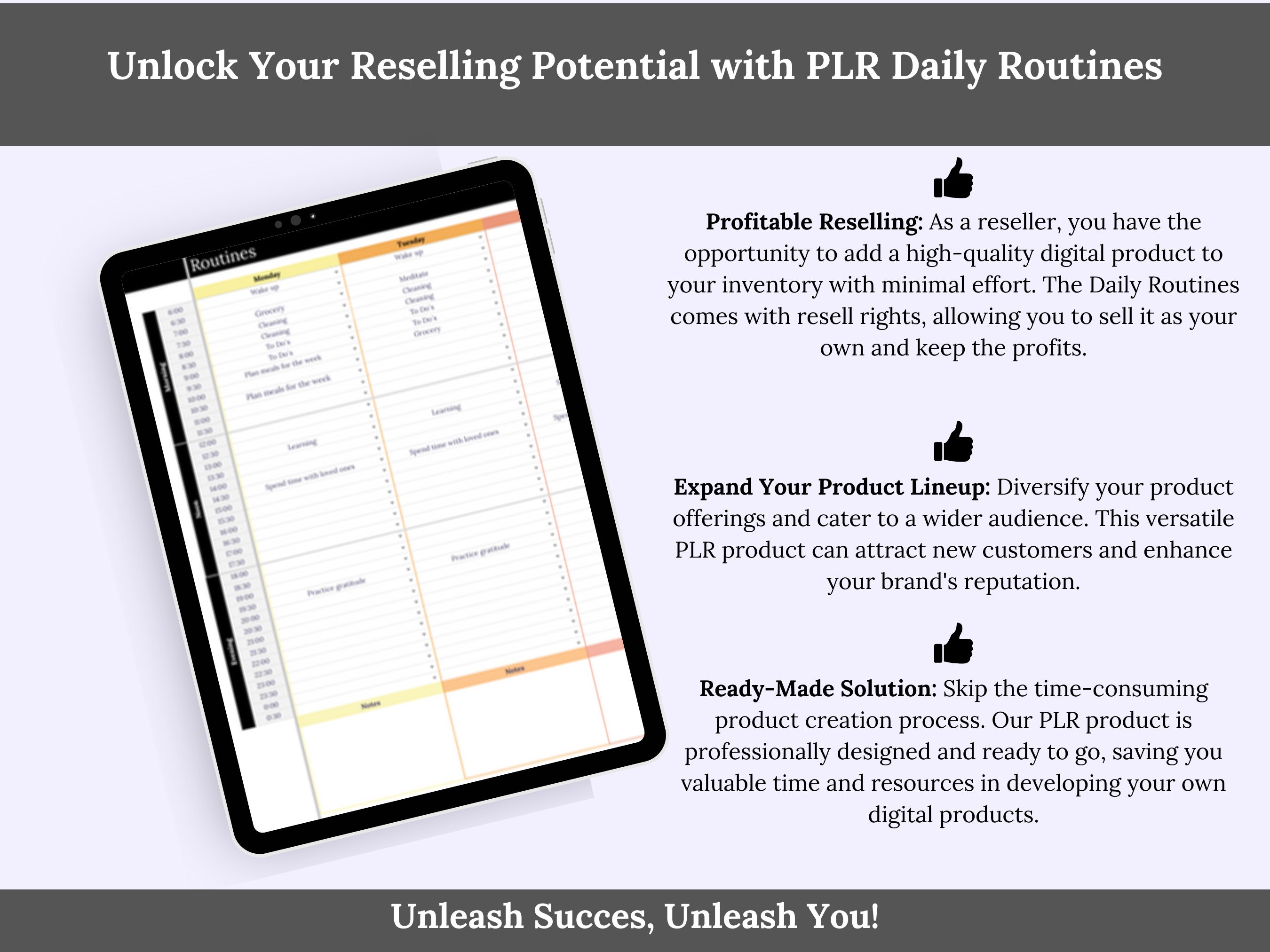 PLR Daily Routines Spreadsheet Resell Rights PLR Spreadhseet Daily ...