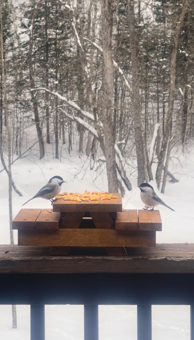 Solid Oak Wildlife Picnic Table for Squirrels, Birds, Raccoons, Opossum ...