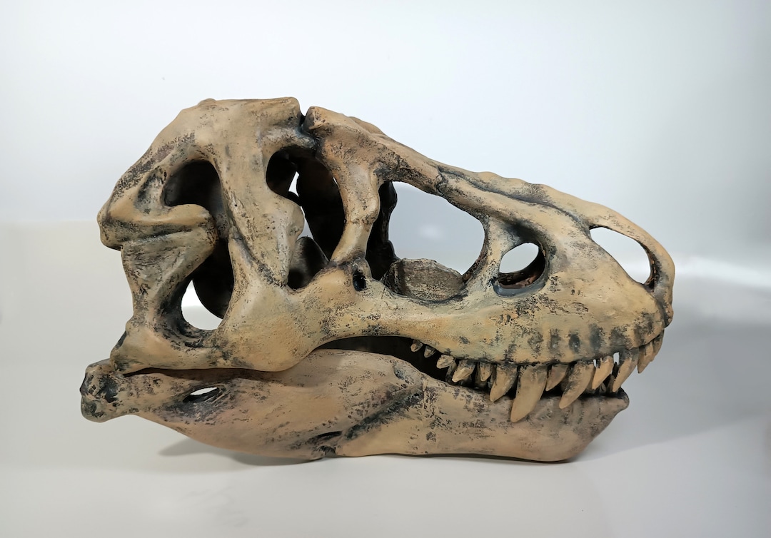 Large Trex Skull Replica, Dinosaur Tyrannosaurus Rex Imitation Fossil ...