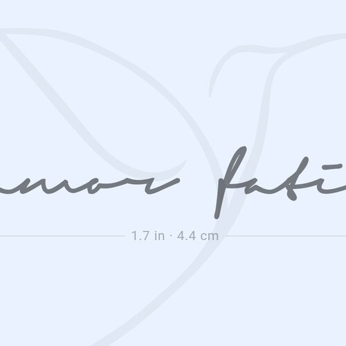 Amor Fati Handwritten Font Semi-permanent Tattoo set of 2 - Etsy
