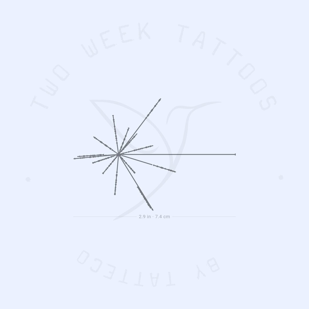 Pioneer Plaque Semi-permanent Tattoo set of 2 - Etsy