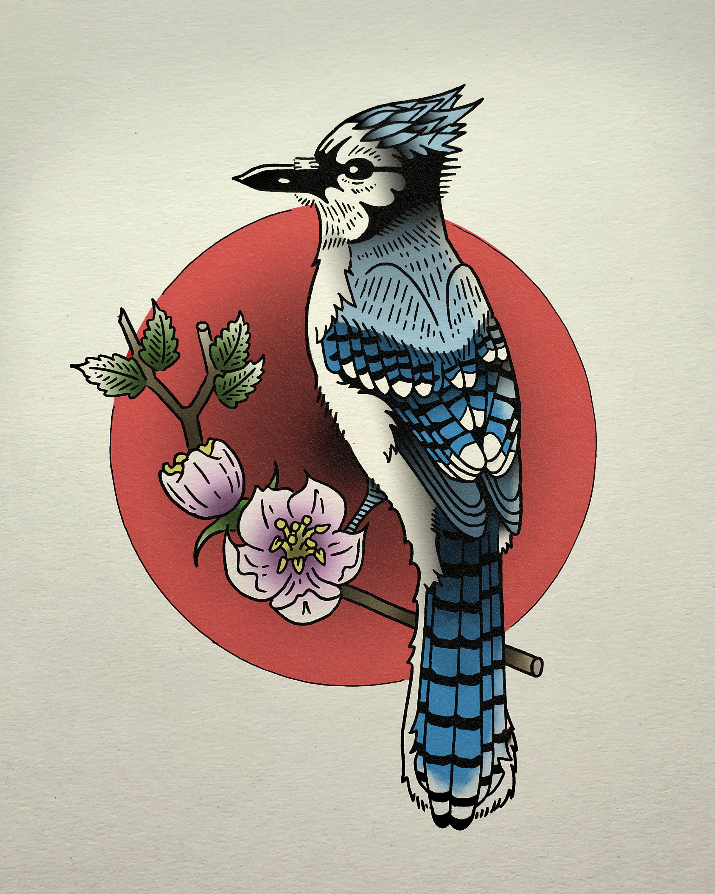 Blue Jay Tattoo