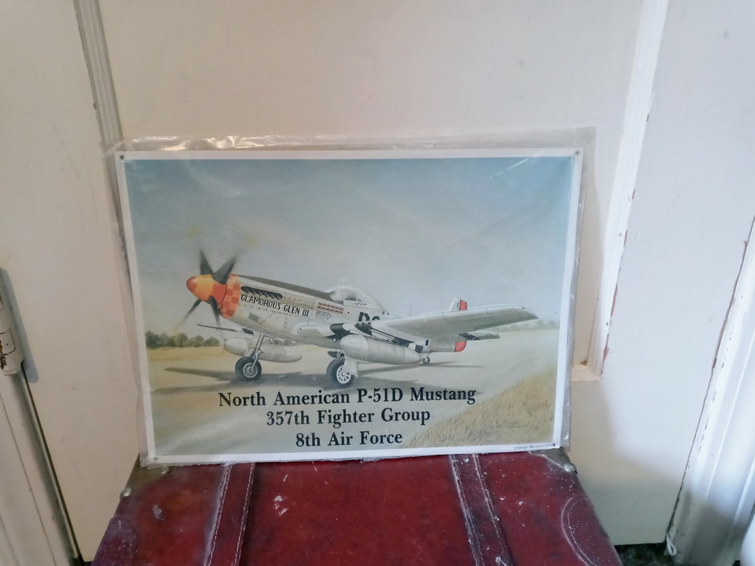 1990 North American P-51D Mustang 357th Fighter Group 8th Air Force Tim ...