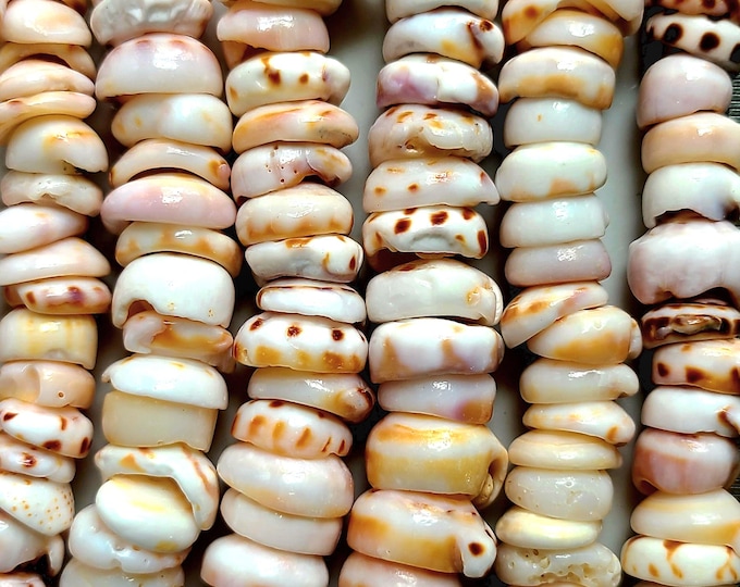 Natural Shell Beads, Shell Bead Caps, Shell Spacers, Whole Strand ...