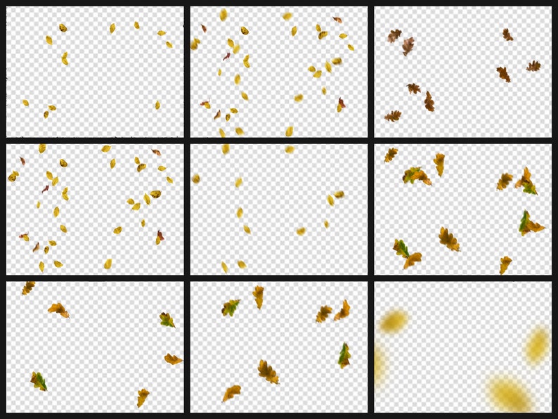 50 Autumn Leaves Overlays, PNG, Falling Leaves , Fall Leaves, Autumn ...