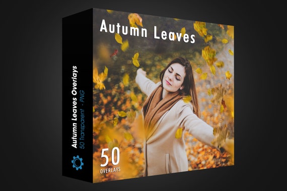 50 Autumn Leaves Overlays PNG Falling Leaves Fall Leaves | Etsy