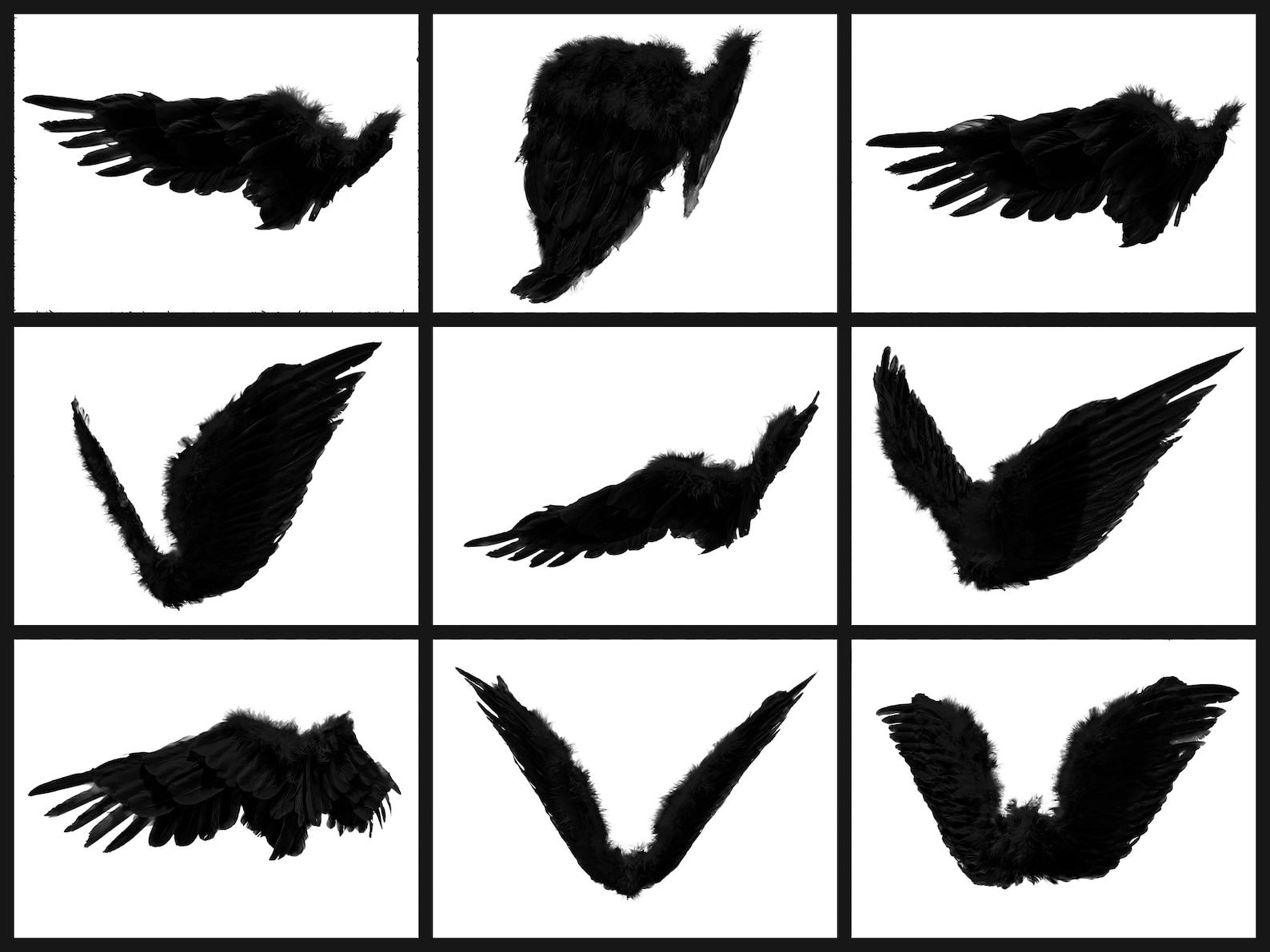 52 Angel Wings Overlay Color Wings Realistic Photoshop - Etsy