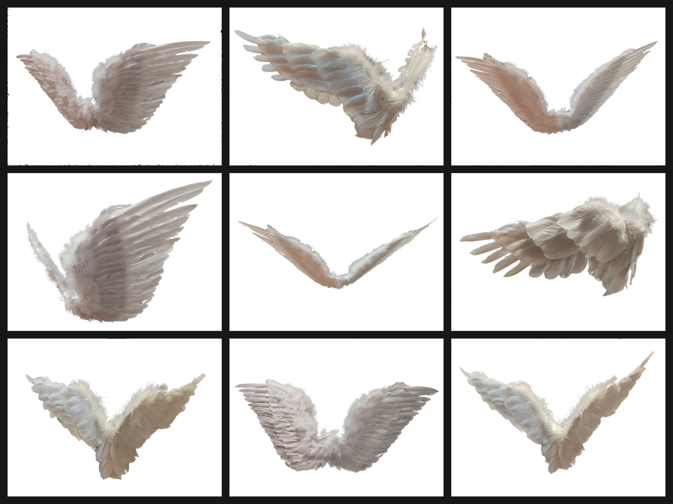 52 Angel Wings Overlay Color Wings Realistic Photoshop - Etsy Canada