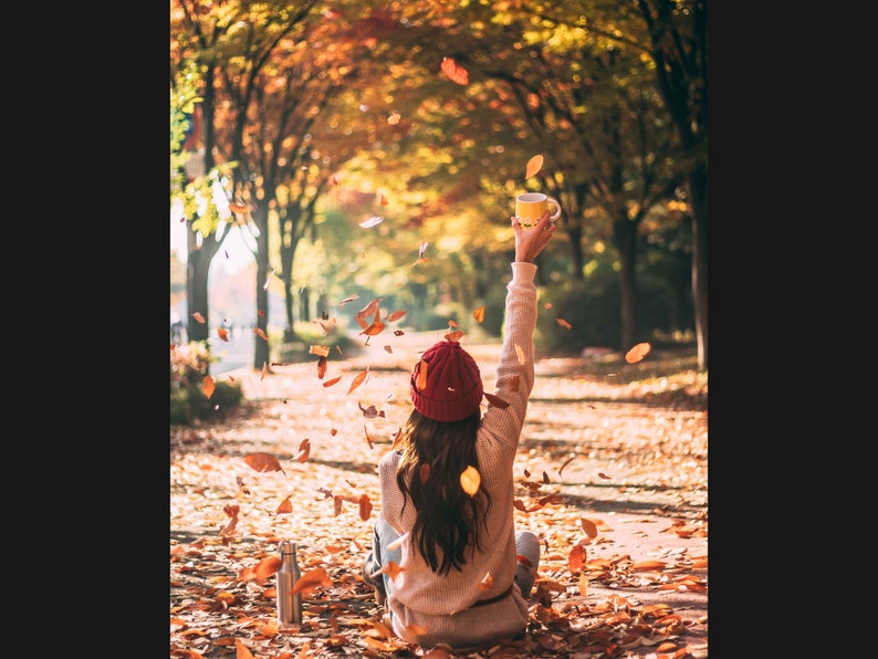 50 Autumn Leaves Overlays, PNG, Falling Leaves , Fall Leaves, Autumn ...