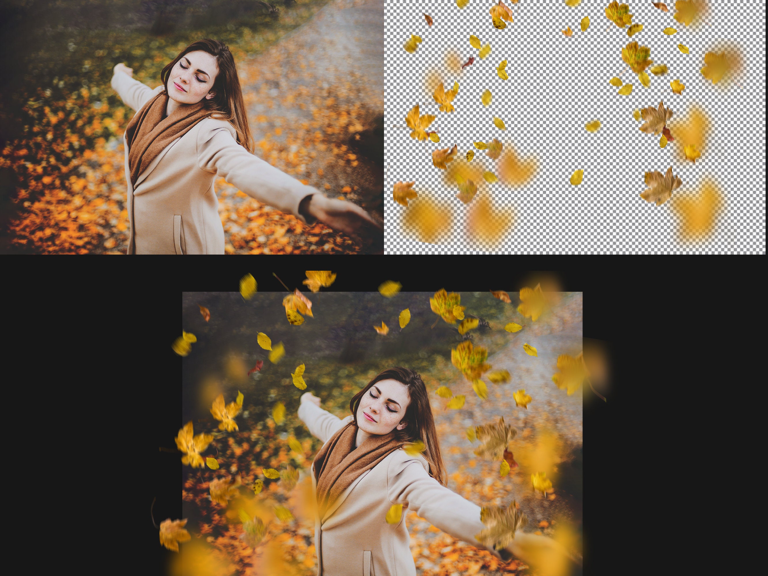 50 Autumn Leaves Overlays, PNG, Falling Leaves , Fall Leaves, Autumn ...