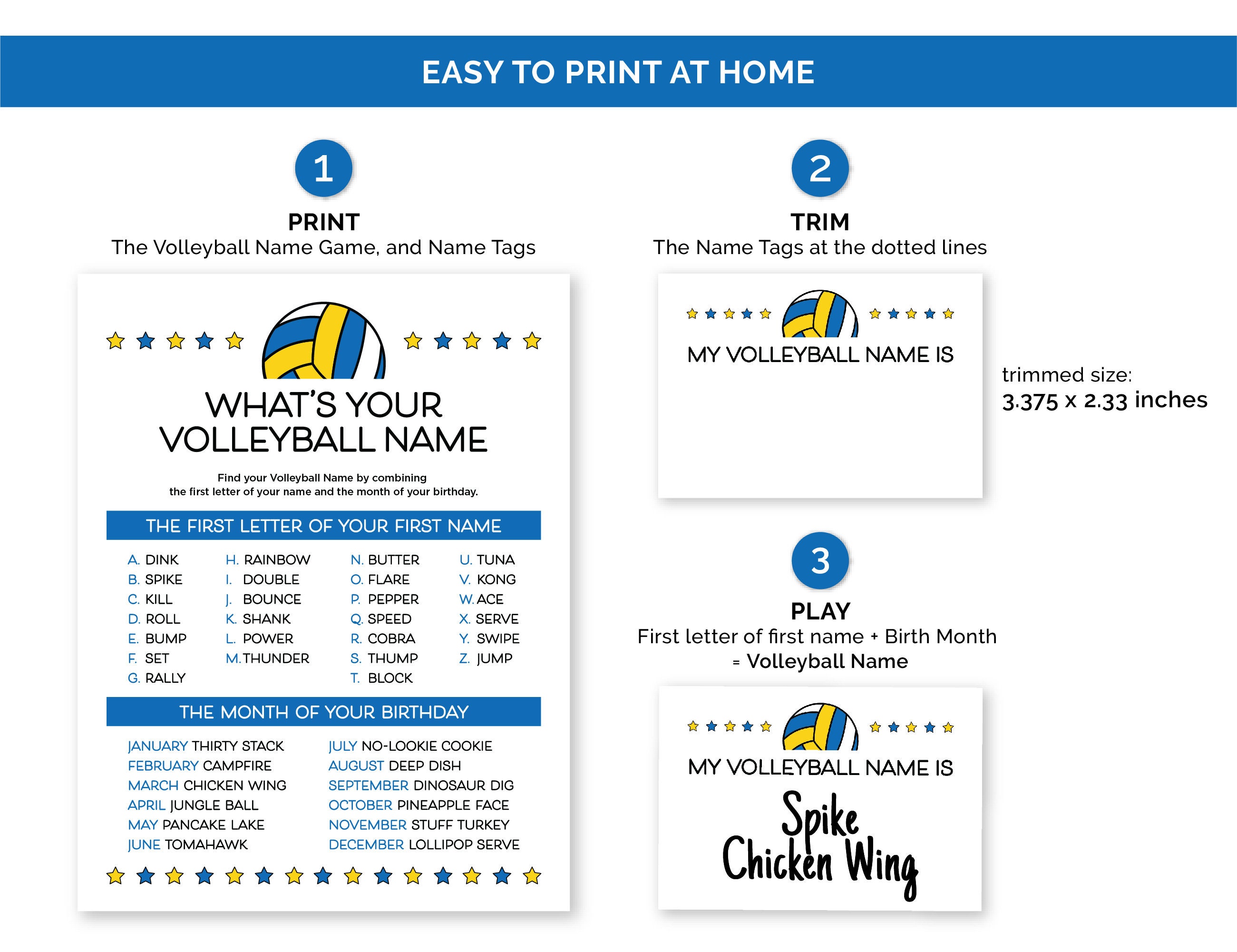What's Your Volleyball Name Game, Printable Volleyball Team Building ...