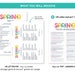 Spring Trivia Game, Printable Spring Quiz With Answers for a Family ...