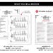 Office Trivia Game, Printable Quiz With Answers for an Office Party ...