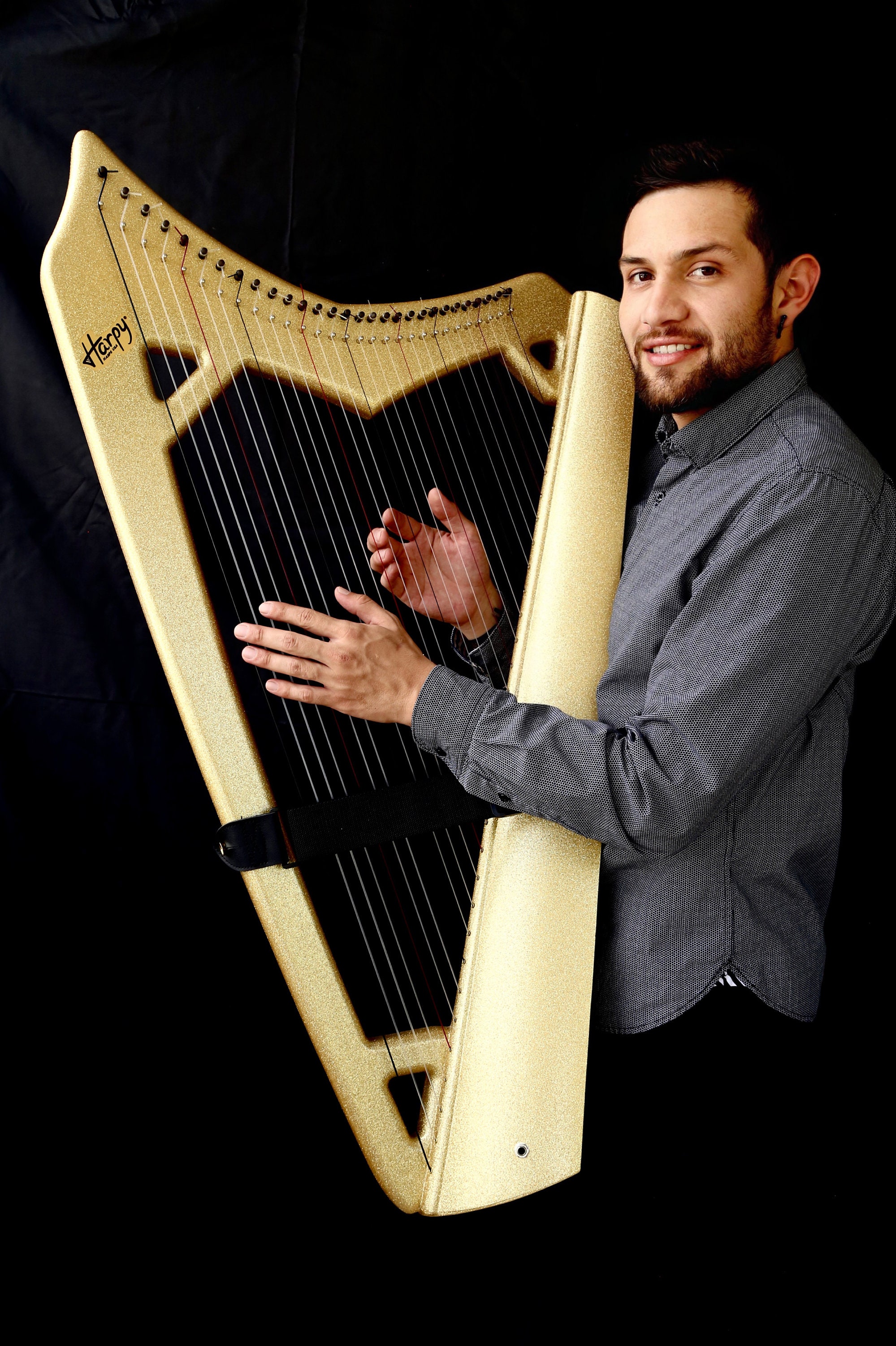 29 String Artemis Harpy - Electric-acoustic Harp - Gold - Etsy