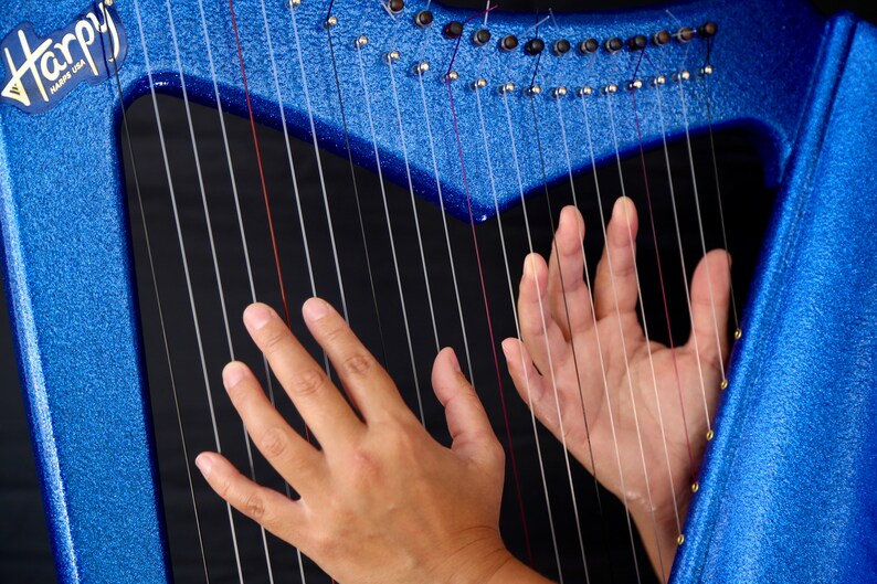 22 String Iris Harpy - Electric-acoustic Harp - Blue - Etsy