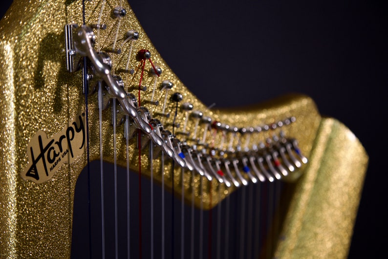 22 String Iris Harpy With Levers - Electric-acoustic Harp - Gold - Etsy