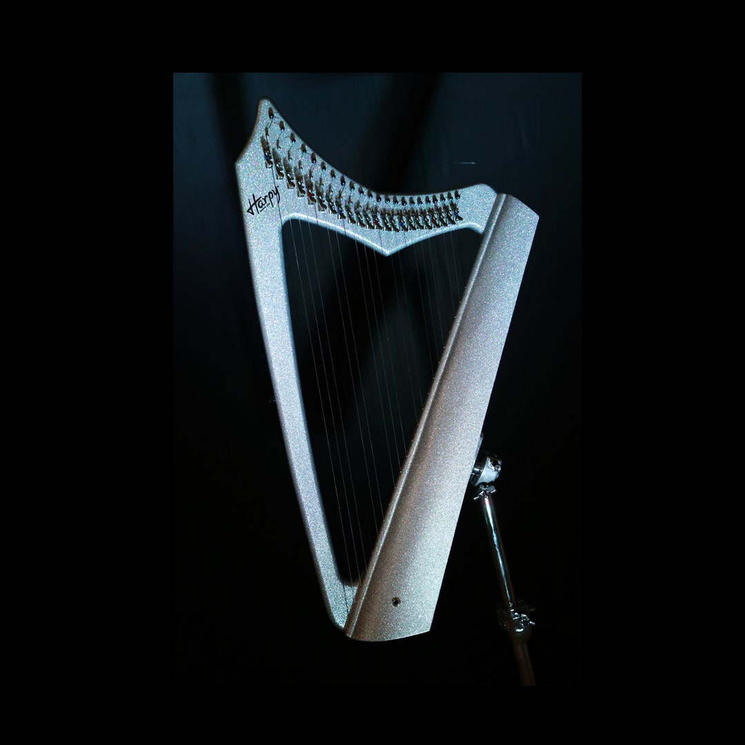 22 String Iris Harpy With Levers Electric-acoustic Harp Silver - Etsy UK